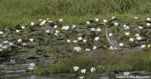 WASGAMUWA NATIONAL PARK